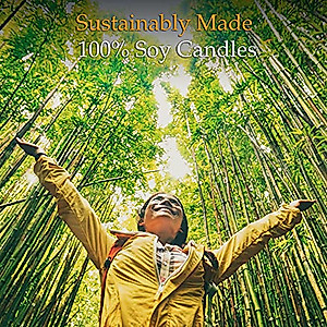 Bergamot Scented Aromatherapy Candles for Relaxation, Scented Soy Candles for Home Scented, Great Mothers Day Gifts for Women, Stress Relief Candles, Housewarming, Birthday, Anniversary