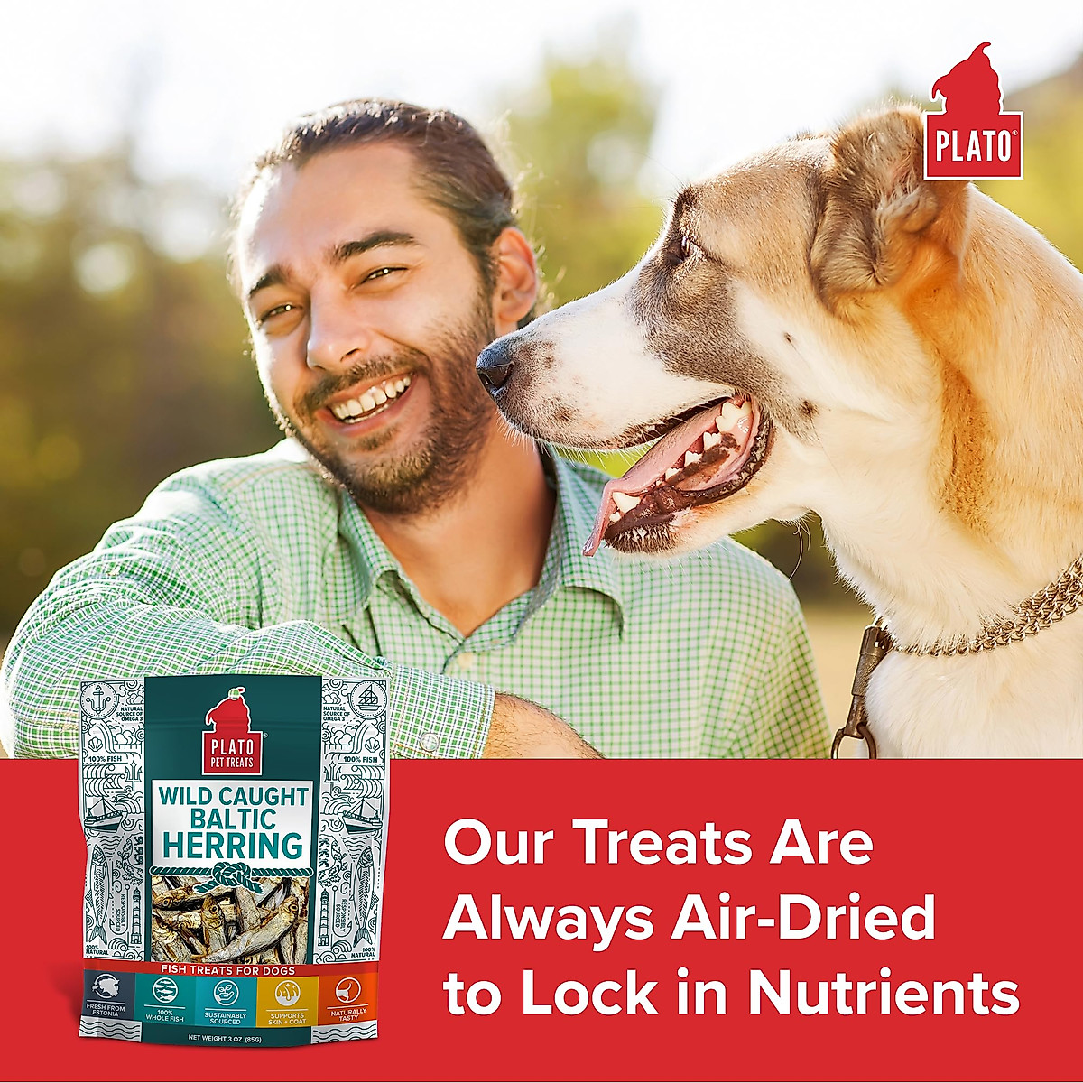 PLATO Pet Treats Fish Dog Treats - Air-Dried, Single Ingredient Dog Treat - with Omega 3 & 6 Fatty Acids to Support Skin and Coat - 100% Whole Fish - Wild Caught Baltic Herring Dog Treats - 3oz