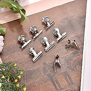 Push Pins Clips, 30 Pieces Heavy Duty Clips with Pins for Cork Boards, Bulletin Boards and Cubicle Walls for Office School Home and No Holes for The Paper (Silver)