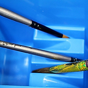 Mont Marte Twin Compartment Plastic Brush Washer. Easy Paint Brush Cleaning and Drying. Suitable for Acrylic and Watercolor Painting.