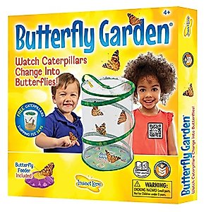 Insect Lore - Butterfly Growing Kit - With Voucher to Redeem Caterpillars Later