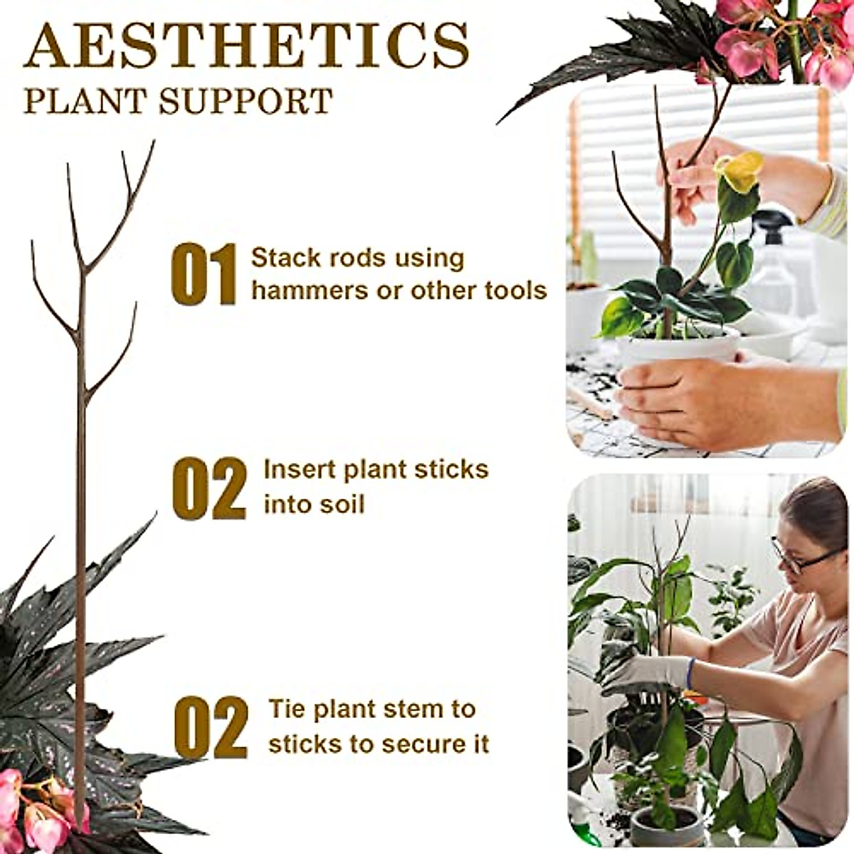 Twig Plant Support Stakes - Set of 4, 27.5 inch | Detachable Trellis for Potted Plants | Perfect Alternative to Moss Pole for Monstera and Other Climbing Houseplants Brown