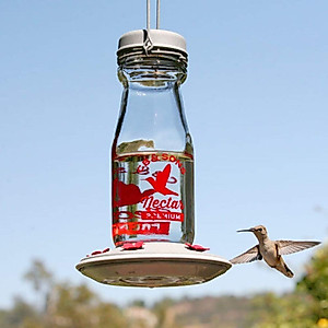 More Birds Jersey Hummingbird Feeder, Glass Milk Bottle Hummingbird Feeder for Outdoors, 5 Feeding Stations, 18 Ounces