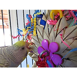 Super Bird Creations SB948 Pinwheel Bird Toy 8" x 5.5"