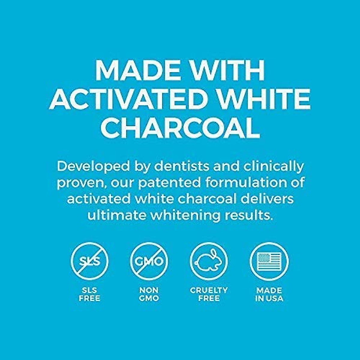 White Birch Activated White Charcoal Whitening Toothpaste- Professional Teeth Whitening Charcoal - Natural & Fluoride Free Oral Care (White Charcoal Toothpaste)
