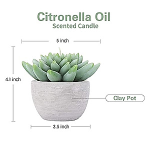 EMOHOME Citronella Aroma Candles, Succulent Candle Set with Terracotta Pots for Home and Party Decor, Festival Presents, Birthday Gifts.Gift.