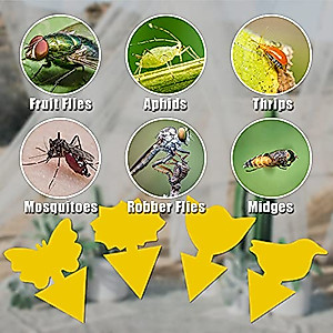 36 Pack Fungus Gnat Traps for House Plants, Yellow Sticky Traps for Indoor Outdoor Use to Get Rid of Whitefly Mosquitoes Fungus Gnats Thrips Leafminer Flying Insects Protect Your Plants