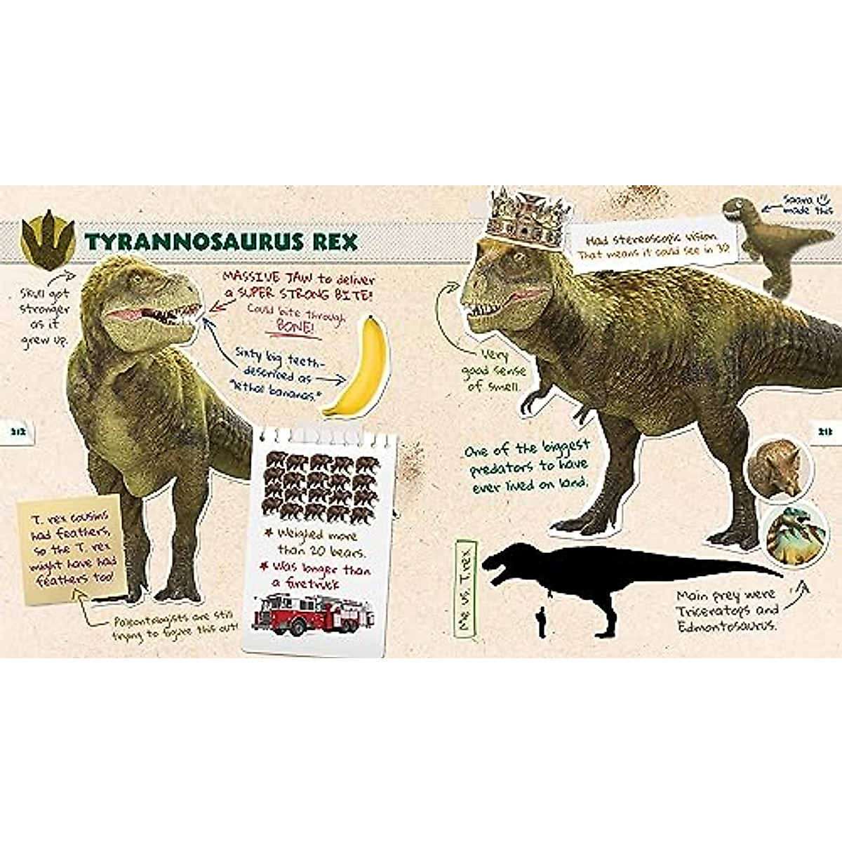 Dino Dana: Dino Field Guide (Dinosaur gift)