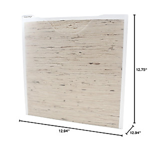 Storage Studios Paper File 3-Pack, 12.75 x 12.95 x 0.13 Inches, Clear (CH92602)