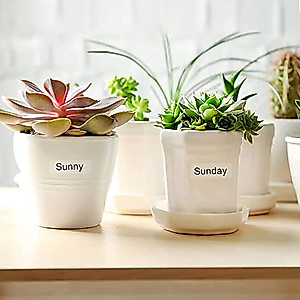 Absonic 4-Pack 6mm Clear Label Tape Compatible for Brother Tze-111 Tze111 Tz-111 Tz111 P Touch Tze Tz 6mm 0.23" Laminated Clear Label Tape for PT-H110 PT-D220 PT-D202 PT-D210 PT-D610, 1/4" x 26.2'