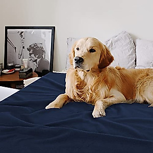 Special SG Glory Fleece Throw Blankets Solid Lightweight Warm Soft Cozy Pet-Friendly for Home Bed Sofa Couch Dorm Office Wedding Gifts Travel Airplane for Seasons (Assorted#1 Pack of 6-50x60 Inches)