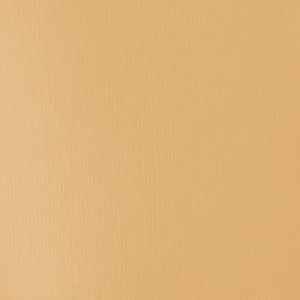 Liquitex BASICS Acrylic Paint, 400ml (13.5-oz) Bottle, Unbleached Titanium