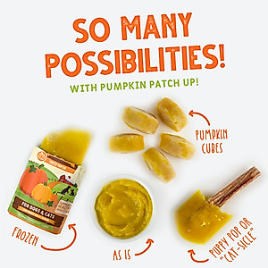 Weruva Pumpkin Patch Up! Pumpkin Pouches for Dogs & Cats
