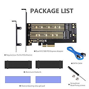 Dual M.2 PCIE Adapter for SATA or PCIE NVMe SSD with Advanced Heat Sink Solution,M.2 SSD NVME (m Key) and SATA (b Key) 22110 2280 2260 2242 2230 to PCI-e x 4 Host Controller Expansion Card
