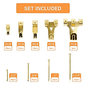 Hongway 276pcs Picture Hanging Kit, Picture Hanger Assortment, Heavy Duty Frame Hooks with Nails, Hanging Wire, Screw Eyes, D Ring and Sawtooth Hardware for Frames Mounting