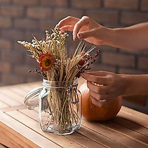 Bormioli Rocco Glass Fido Jars - Hermetic Sealed Hinged Airtight Lid for Fermenting, Pantry, Kitchen Storage, Bulk Food Storage Containers, With Paksh Chalkboard Labels (2 Pack) (6 3/4 Ounce (4 Pk))