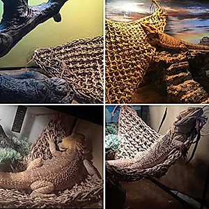 13 x 13 Inches Reptile Triangle Hammock Set of 2, Lizard Lounger, 100% Natural Seagrass Fibers with Hemp 2 Rope, 12 Hooks, 8 Suckers for Anoles, Bearded Dragons, Geckos, Iguanas, and Hermit Crabs