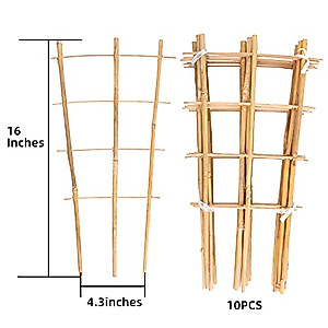 Avalution 10 Pack Bamboo Trellis for Climbing Plants 16" Natural Garden Ladder Trellis, Fan -Shaped Plant Support Trellis for Potted Plant Decor