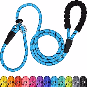 TagME 6 FT Slip Lead Dog Leash,12 Colors,Reflective Strong Rope Slip Leash with Padded Handle,Durable No Pulling Pet Training Leash for Puppy/Small Dogs,Sky Blue
