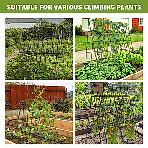 UrGROWA Cucumber Trellis 2 Pack, Foldable A-Frame Garden Trellis for Raised Bed Garden Grow Support with Plant Support Clips, Twist Ties, Plastic Ties, for Cucumber,Tomato, Climbing Plants and Flowers