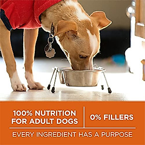Purina ONE Plus Healthy Weight High-Protein Dog Food Dry Formula - 31.1 lb. Bag