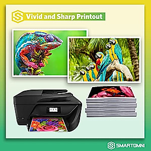 S SMARTOMNI Compatible 902XL Ink Cartridges Upgraded-Chip Replacement for HP 902 902XL Ink Cartridge Combo Pack Black and Color for Use in HP OfficeJet Pro 6960 6962 6970 6975 6978 6968 6975