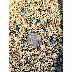 7 LB. Perfect Palm ® - Dual Action Palm Tree Fertilizer with Free Measuring Scoop