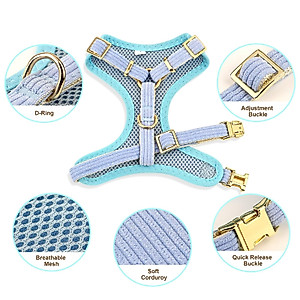Didog Cute Small Dog Collar Harness & Leash Set, Adjustable Dog Collars and Leashes with Bowtie, Breathable Soft Mesh Padded Dog Vest for Puppies Small Dogs Walking,Blue, M