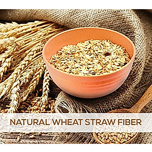 KUCHEEZE Plastic Bowls Reusable[Set of 8] 24 OZ Dishwasher & Microwave Safe Bowls. Colored Cereal Bowl Set - Unbreakable, Lightweight Plastic Cereal Bowls for Kitchen use for Noodles, Pasta, Soup bowl