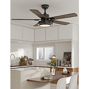 warmiplanet Ceiling Fans with Lights and Remote Control, 52 Inch, 6 Speeds Reversible DC Motor, 3 Color Dimmable Light, Timer, Noiseless, Black, 5 Blades