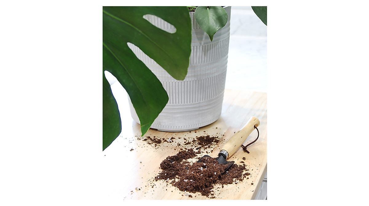 Monstera Houseplant Potting Soil Mix - Organic 2 Quarts for Repotting
