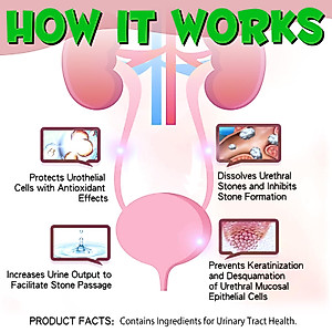 Urinary Tract for Cats, Natural Cat Urinary Tract Infection Treatment Drops - Supports Bladder, Kidney Stone, Dog UTI, Cranberry Kidney Bladder Support Supplement, Chicken Flavor - 60 ml / 2.02oz