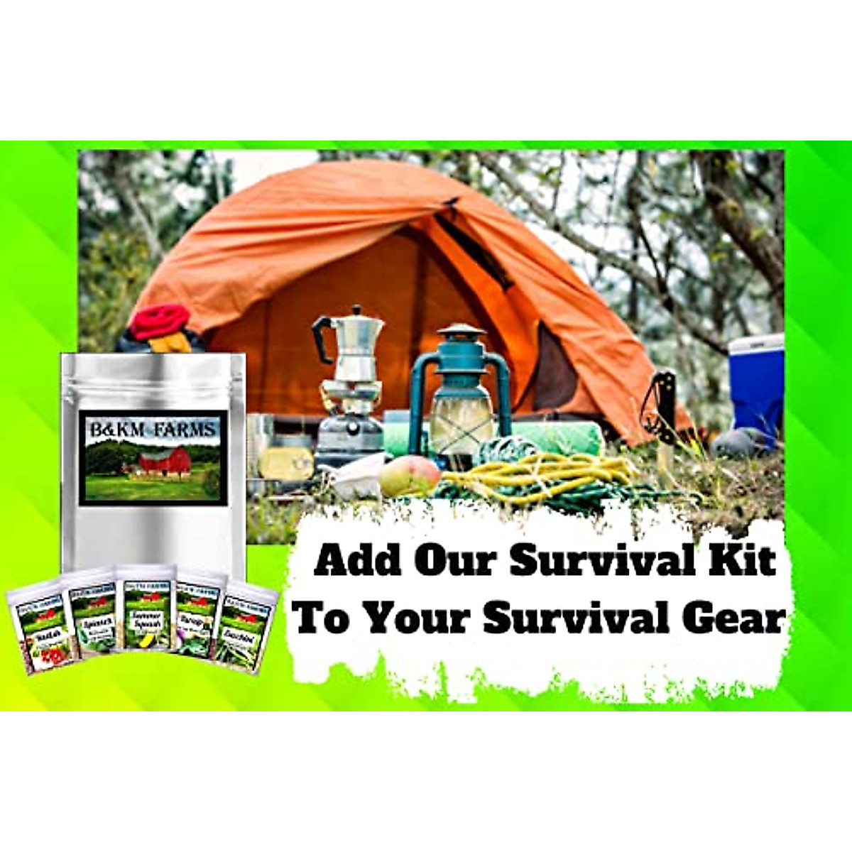 50 Vegetable & Fruit Seeds for Planting Your Outdoor & Indoor Home Seed Garden, Survival Gear Kit Includes 50,000 Seeds A Growing Guide & Mylar Package Gardening Heirloom Non-GMO Veggie Seed B&KM Farm