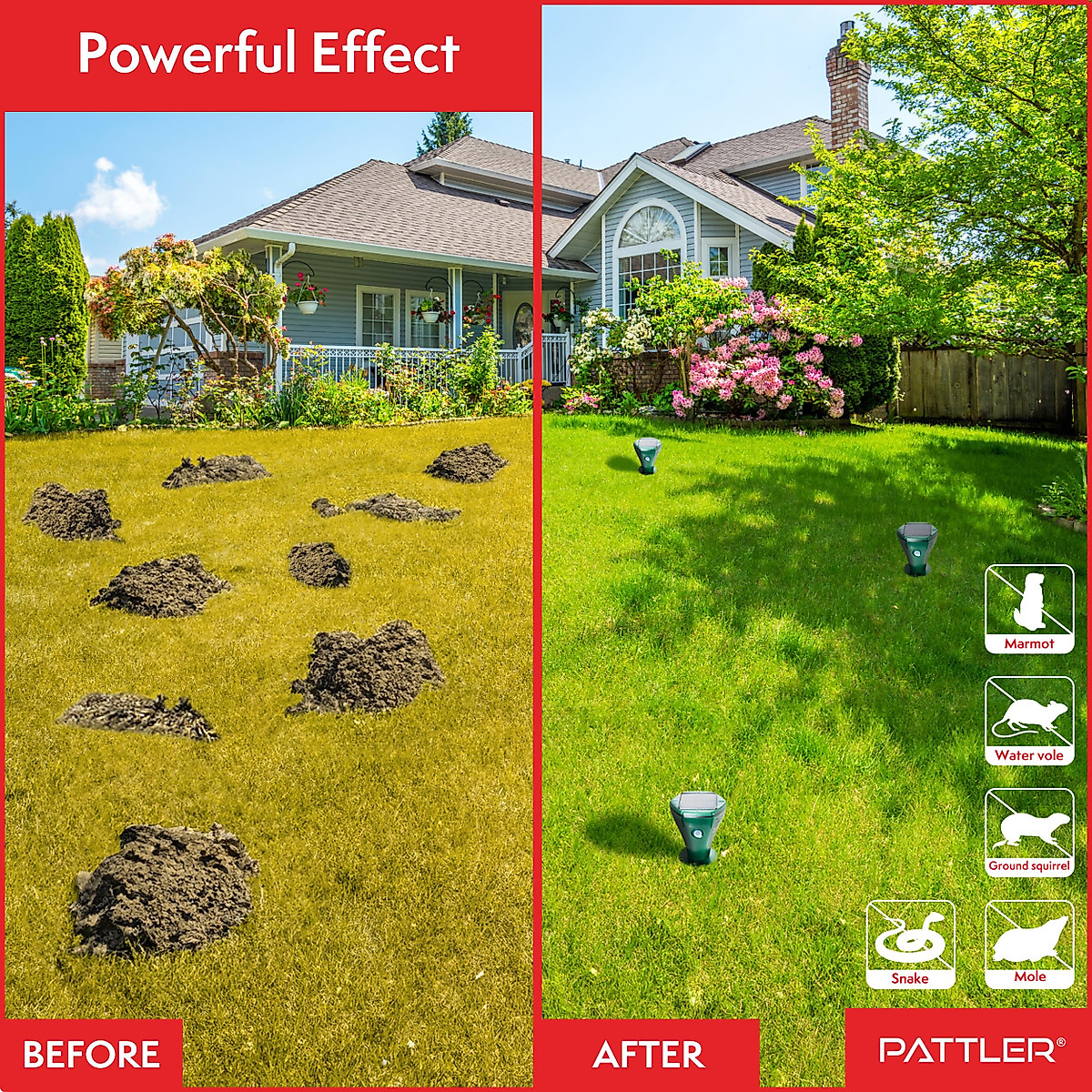 PATTLER® Mole Repellent Solar Powered | Innovative Screw-Shape Design | 8,000 Sq Ft Coverage | Best Snake Repellent for Yard, Great for Getting Rid of Moles and Voles | Gopher Repellent | 2 Units