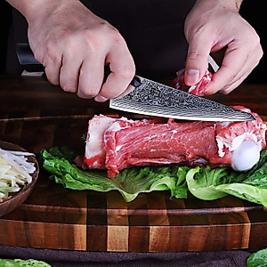 FINDKING 6 Inch Boning Knife, Damascus Steel Skinning Knife, Sharp Meat Knife for Bones (Cheetah Series, w/Ebony Wood Handle)