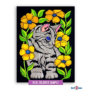 Super Pack of 18 Fuzzy Velvet Coloring Posters (Artistic Edition) - Great for Family Time, Arts & Crafts, Travel, Classrooms, Care Facilities [For All Ages: Girls, Boys, Adults, Toddlers, and More]