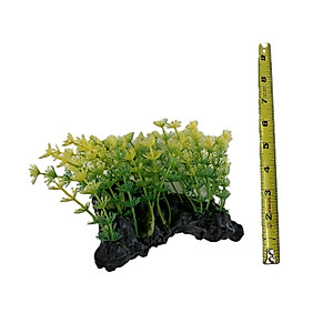 Gingerbread Pet Supply Wide Plastic Aquatic Plant with Large Weighted Base