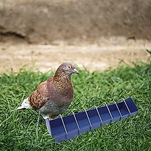 Happyyami Goat Feeder Cattle Feed Trough 2pcs Pigeon Feeder Slot Container Fowl Feeding Dish Bird Storage Trough Food Dispenser Pigeon Cage Supplies 40CM Blue Horse Water Buckets Small Container