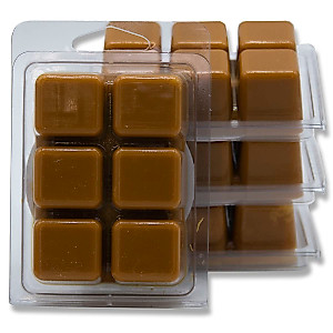 Leather Scented Premium Lone Star Candles & More's Hand Poured Wax Melts, Authentic Aroma of Genuine Leather, 24 Strongly Scented Wax Cubes, USA Made in Texas, 4-Pack