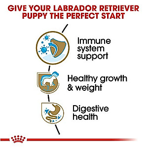 Royal Canin Breed Health Nutrition Labrador Retriever Puppy Dry Dog Food, 30 lb.