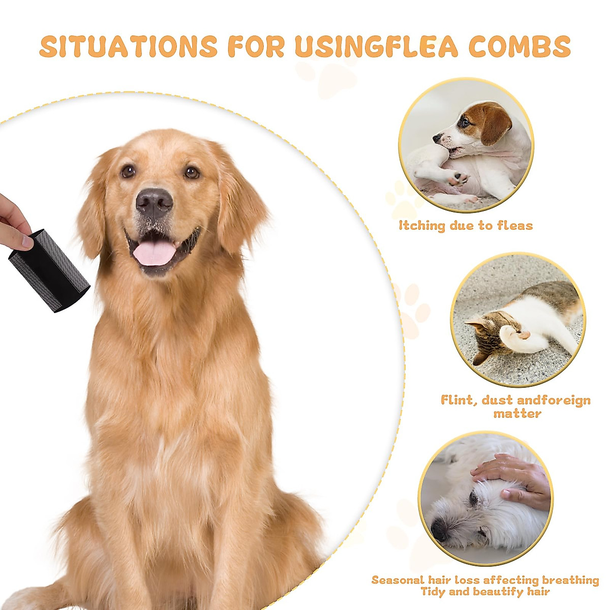 BUWUSMU 90 Pcs Double Side Tooth Pet Flea Comb Bulk for Cats Dogs Lice and Tick Comb for Small Cats Dogs Kitten Indoor(6 COLORS)