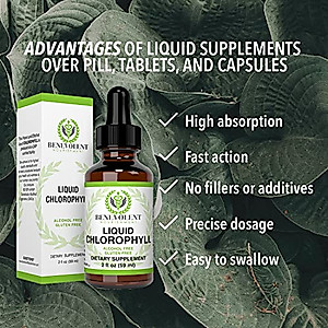 Chlorophyll Liquid Drops – Energy Boost | Immune System Support | Internal Deodorant | Altitude Sickness. Premium Quality – 100% Natural, Potent, Minty Taste, 2X Absorption.