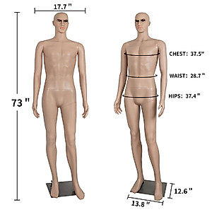 Male Mannequin Full Body Dress Form Sewing Dress Model Stand Adjustable 73 inch Realistic Detachable Manikin Body Display Head Arm Rotation Metal Base