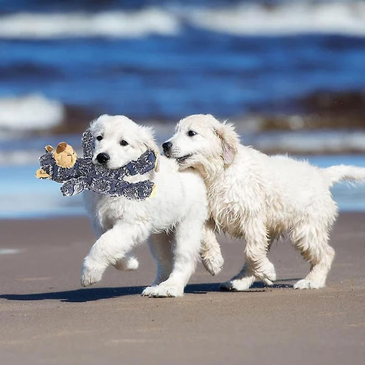 Petsboro Robust Bear | Libiyi Robust Bear | Petsboro Bear | Dotmalls Petsboro Robust Bear | Pets Boro Robust Bear | Indestructible Robust Bear Dog Toy | 2023 Newest Dog Animals Chew Toy (S, 2-purple)