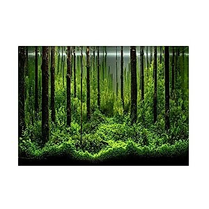 ciciglow Fish Tank Poster, Aquarium Background Sticker PVC Adhesive Underwater Forest for Aquarium(122 * 46cm)