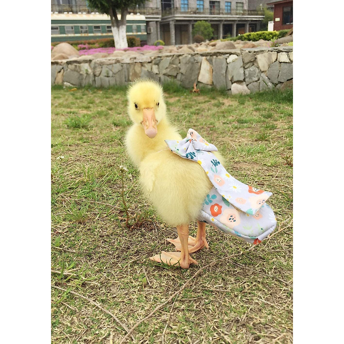 WCDJOMOP Duck Diapers, Chicken Diapers, Handmade Diapers for Poultry, Chicken, Duck and Goose Waterproof, Adjustable, Washable Reusable Diapers for Poultry, Duck Supplies (S(0.1kg-0.2kg),Floral)