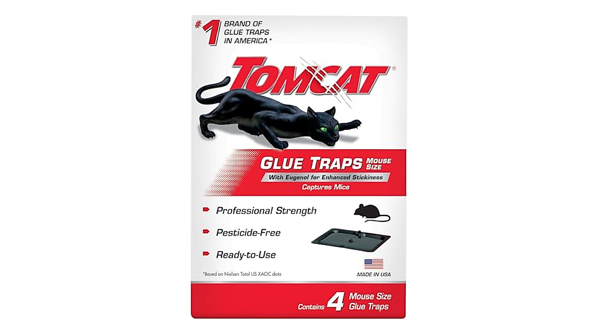 Tomcat Mouse Trap with Immediate Grip Glue for Mice, Cockroaches ...