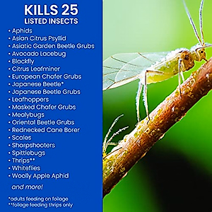 BioAdvanced Fruit, Citrus & Vegetable Insect Control, Concentrate, 32 oz