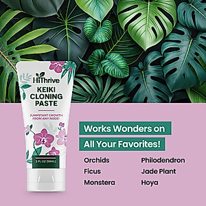 2oz Keiki Paste for Plants - Up to 150 Applications, Keiki Cloning Paste for Plants to Grow Orchids Baby Plant & New Blooms, Ideal Keiki Paste for Orchids & Houseplants, Convenient Plant Cloning Paste