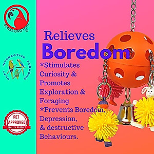 Bonka Bird Toys 1936 Ballspike Bird Toy Parrot cage Toys Cages African Grey Conure Cockatoo